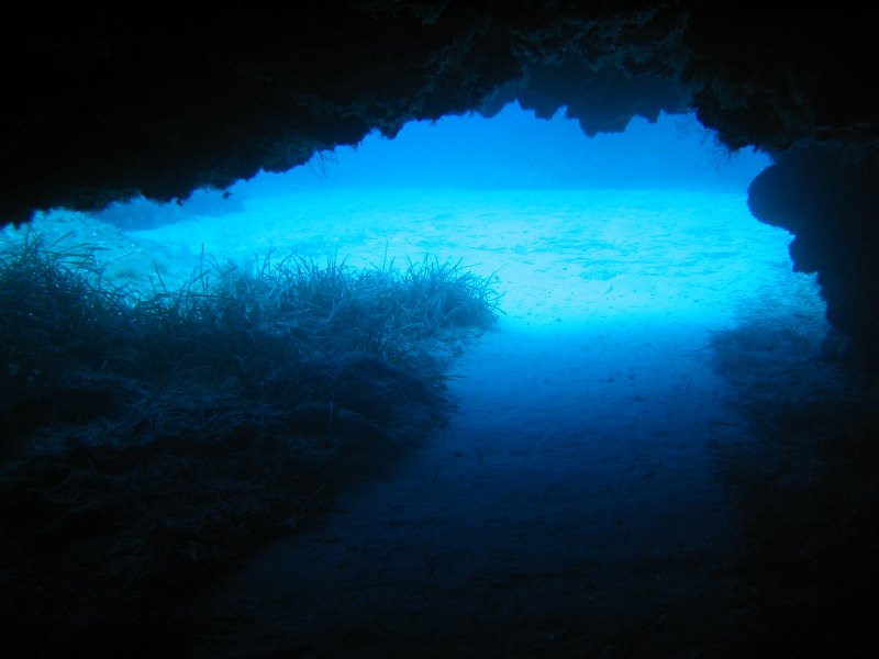 The Night Dive: Full Moon & BIOLUMINESSANCE | Scubaverse