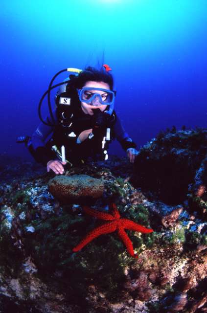 Dive Centre/Resort Of The Day: Sunfish Divers, Cyprus | Scubaverse