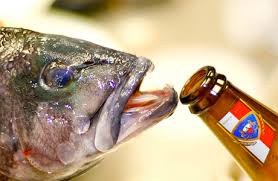 Drunk Fish Swim Faster... And The Sober Fish Try To Keep Up | Scubaverse