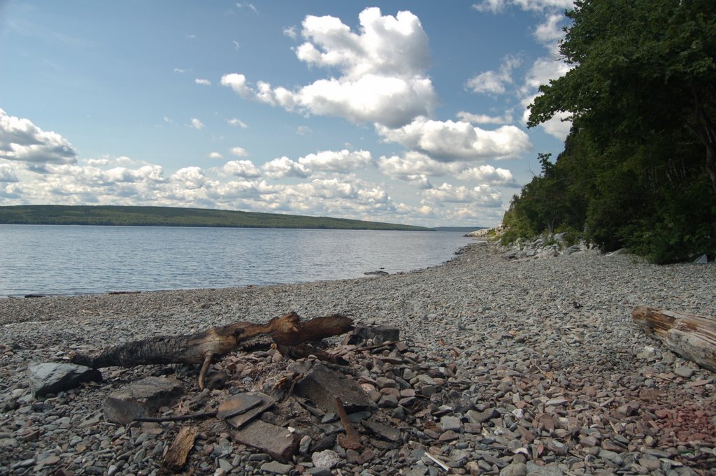 Divers in Canada to search for plane wrecks in Gander Lake | Scubaverse
