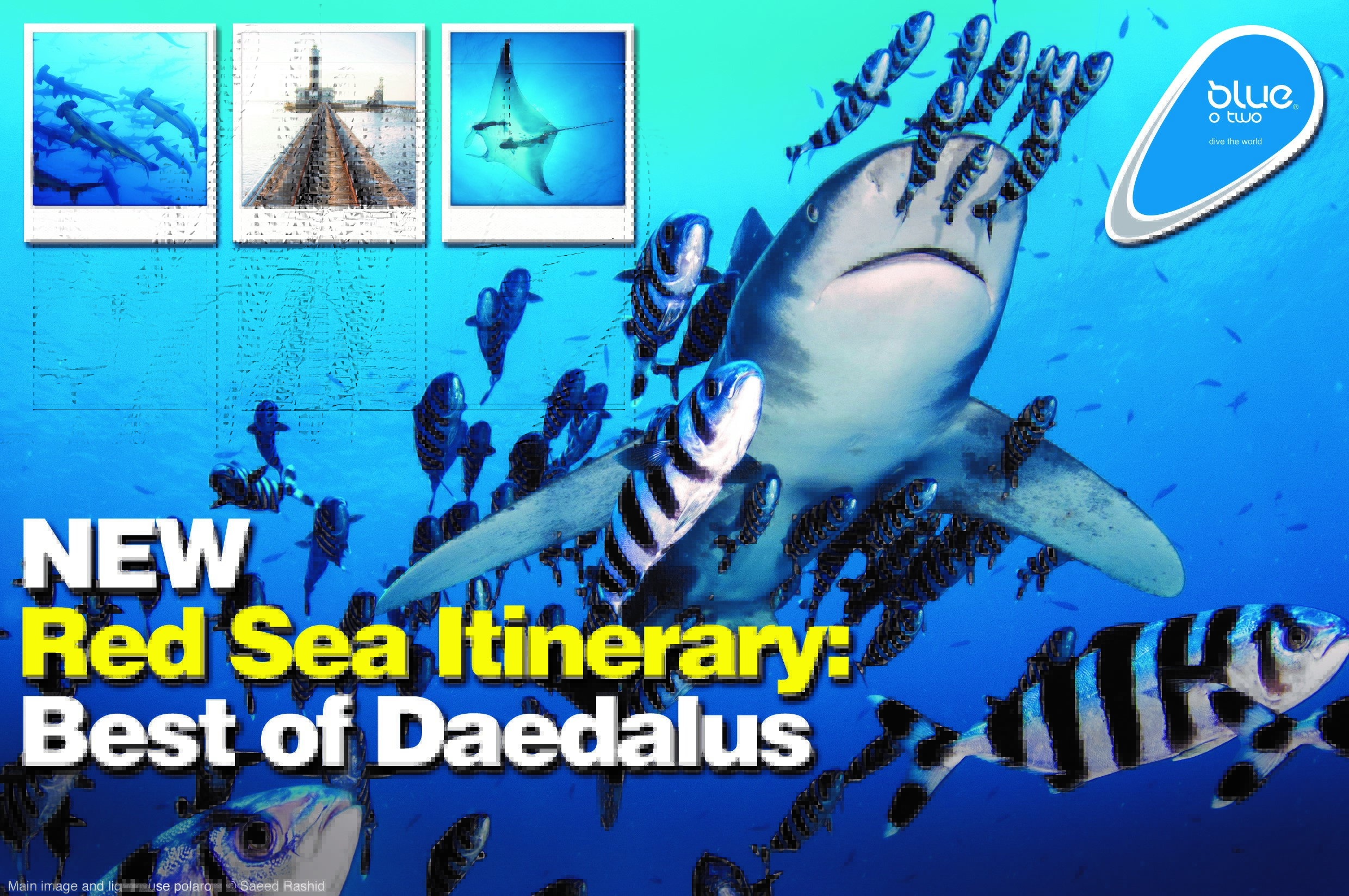 blue o two announces new ‘Best of Daedalus’ Red Sea itinerary