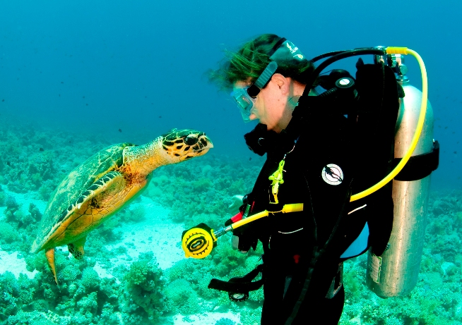 Great Value 'All Inclusive' Red Sea Dive Packages From Emperor Divers ...