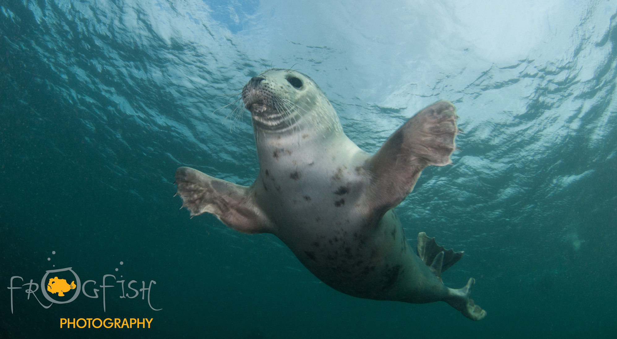 The fish I caught was THIS BIG - Scubaverse