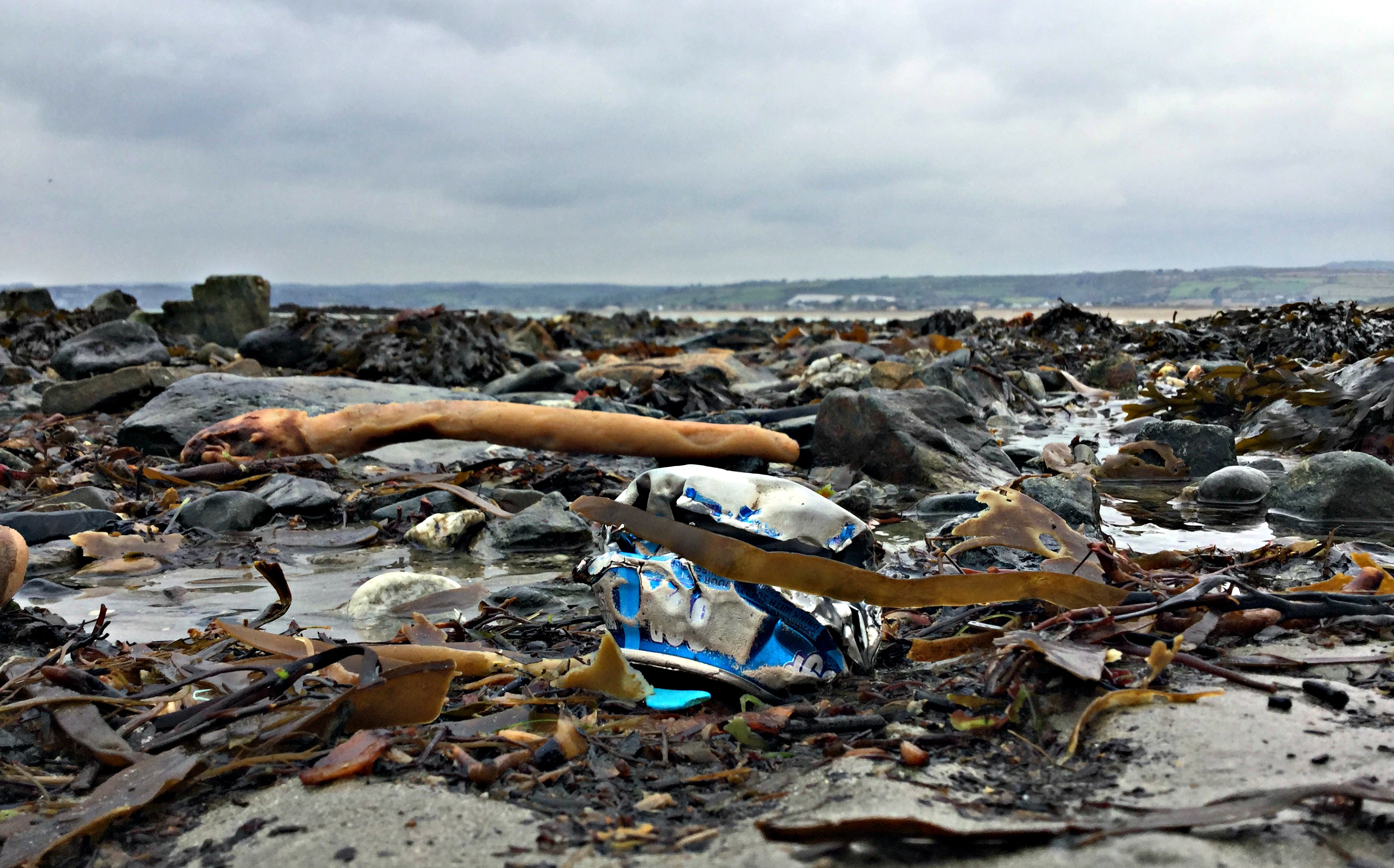 Around 8 million items of litter enter the marine environment every day