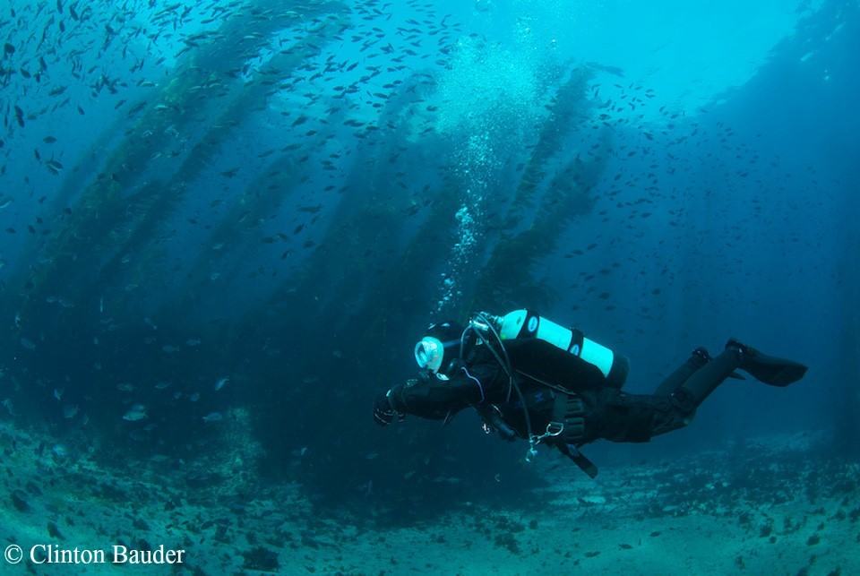 Scuba Diving Our Way to a Blue Planet | Scubaverse