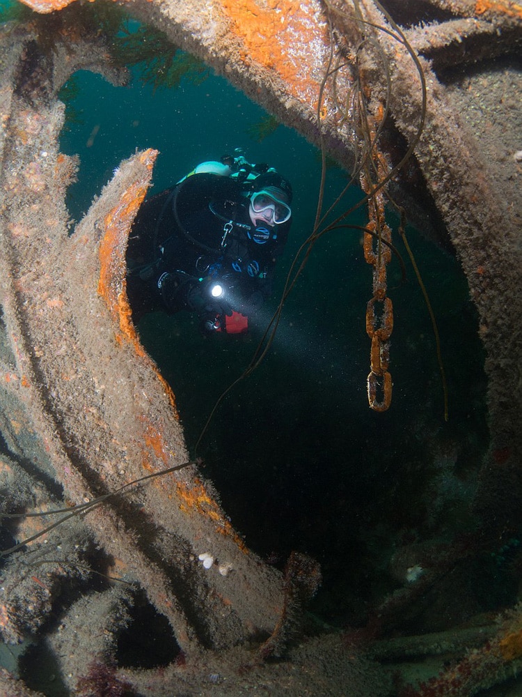 Meet Our Club: Northern Underwater Photography Club | Scubaverse