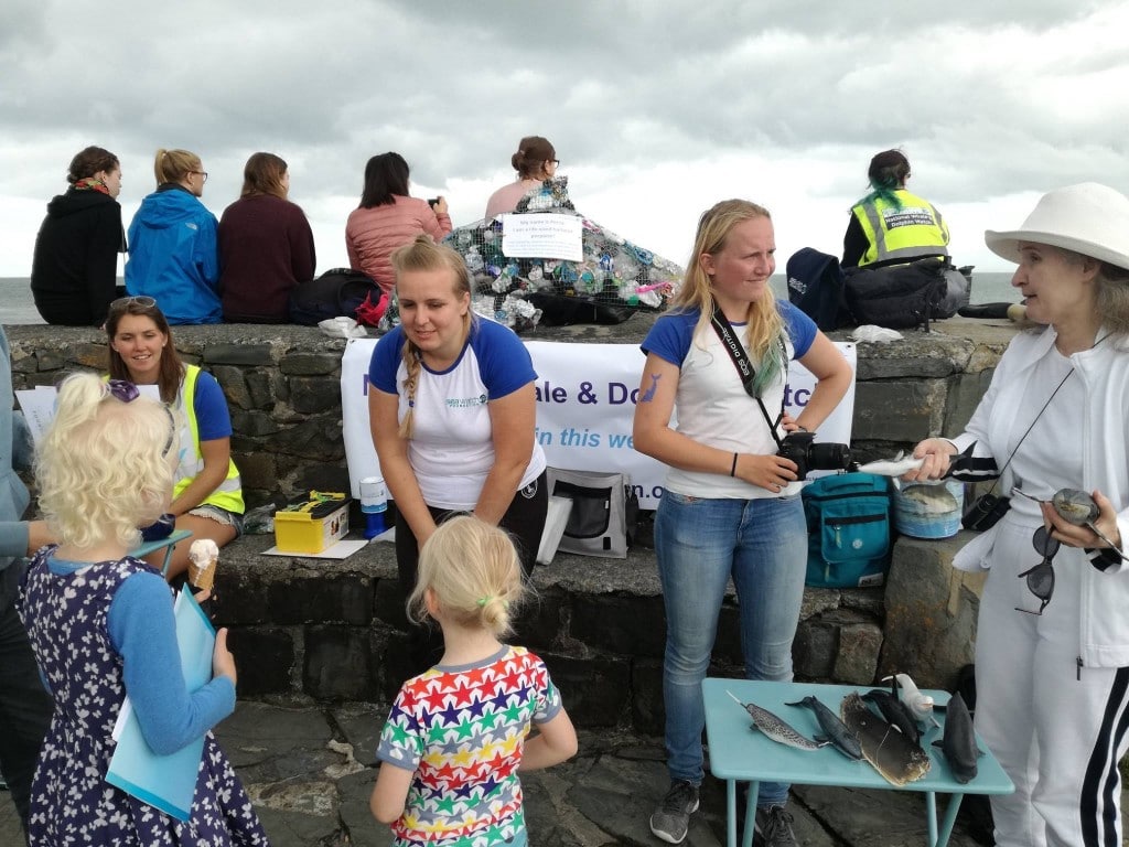 My Summer as National Whale and Dolphin Watch Assistant for Sea Watch ...