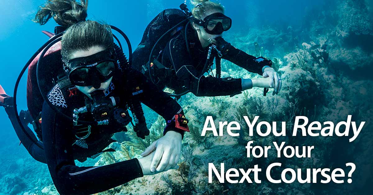 Are you ready for your next course? | Scubaverse