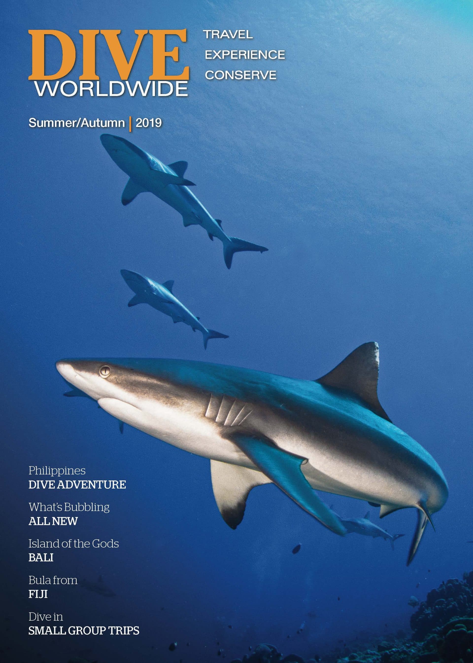 Dive Worldwide launches new holidays | Scubaverse