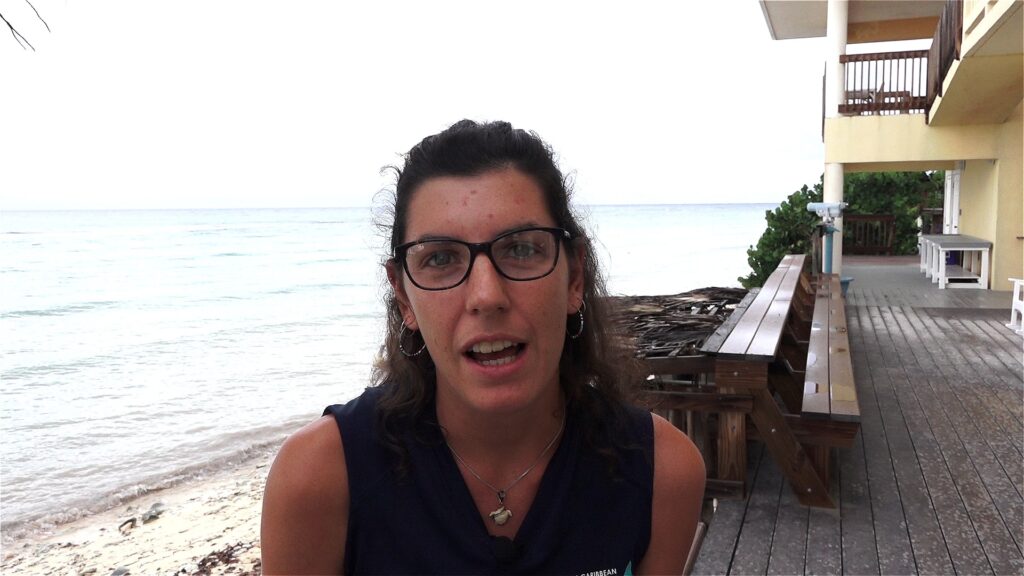 Scubaverse trip to the Cayman Islands: With Maisy Fuller from CCMI ...