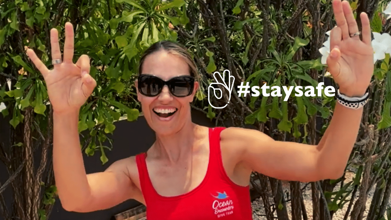 Are you OK? #staysafe with this special video message from Ocean ...