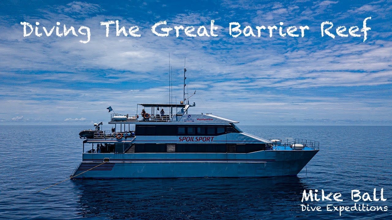 Diving the Great Barrier Reef with Mike Ball Dive Expeditions (Watch ...