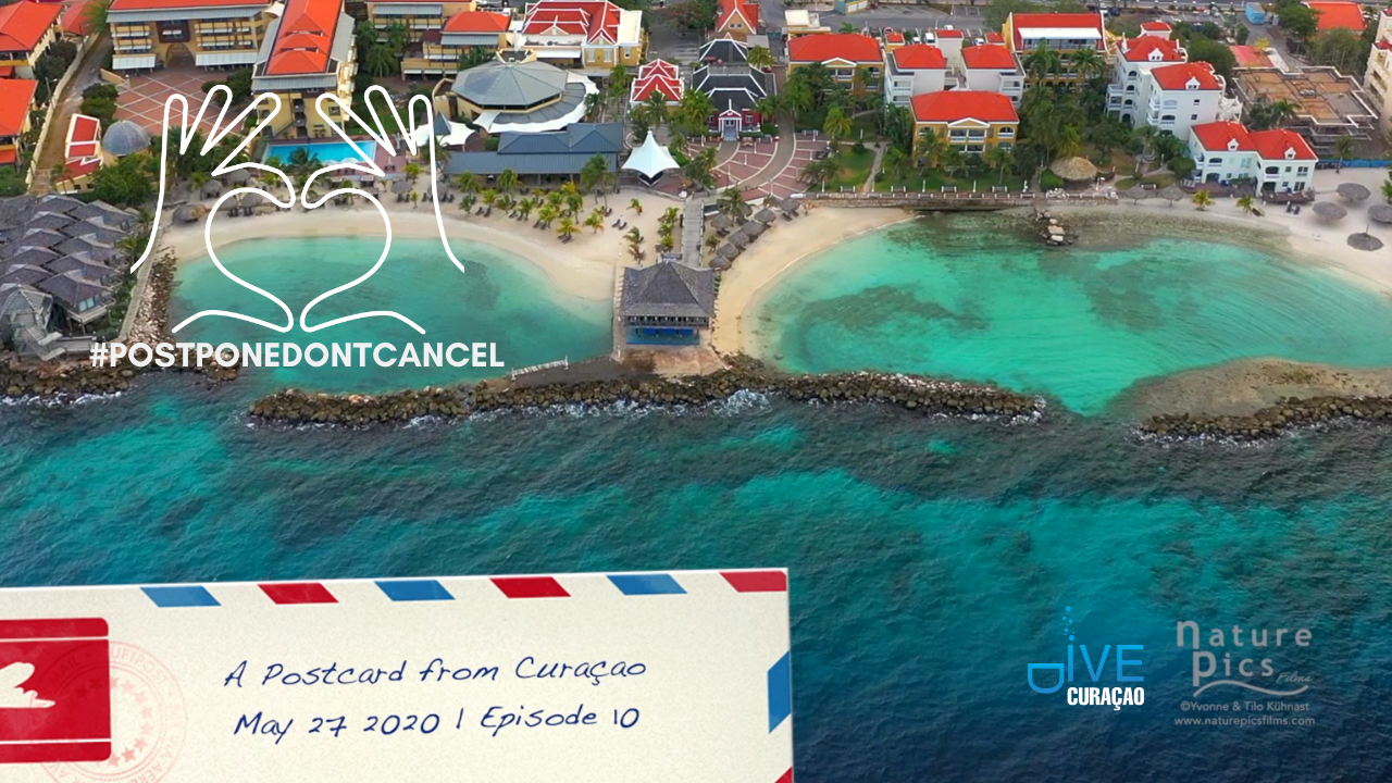 A Postcard from Curaçao | Episode 10| Avila Beach Hotel (Watch Video ...