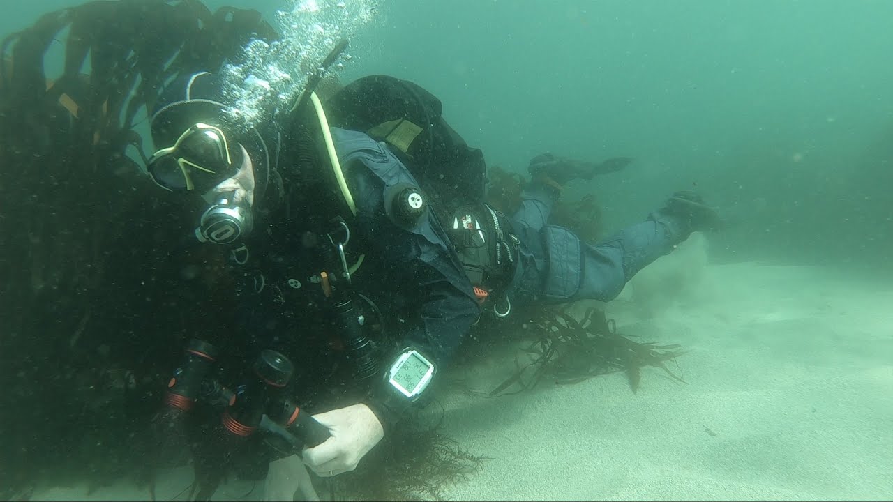 Equipment Review: AVATAR Drysuit and AVATAR 901 Undersuit (Watch Video) - Scubaverse