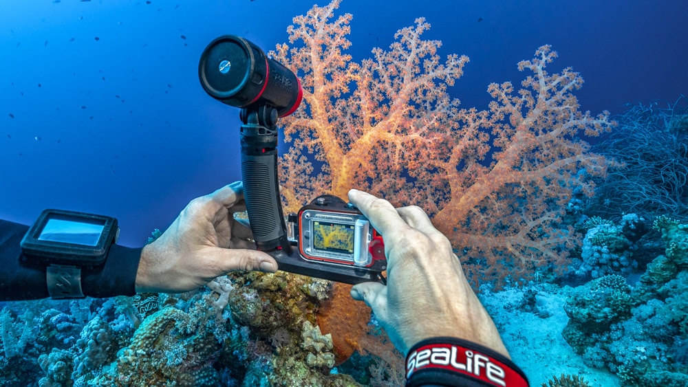 Introducing the new Sealife Reefmaster RM-4K camera | Scubaverse