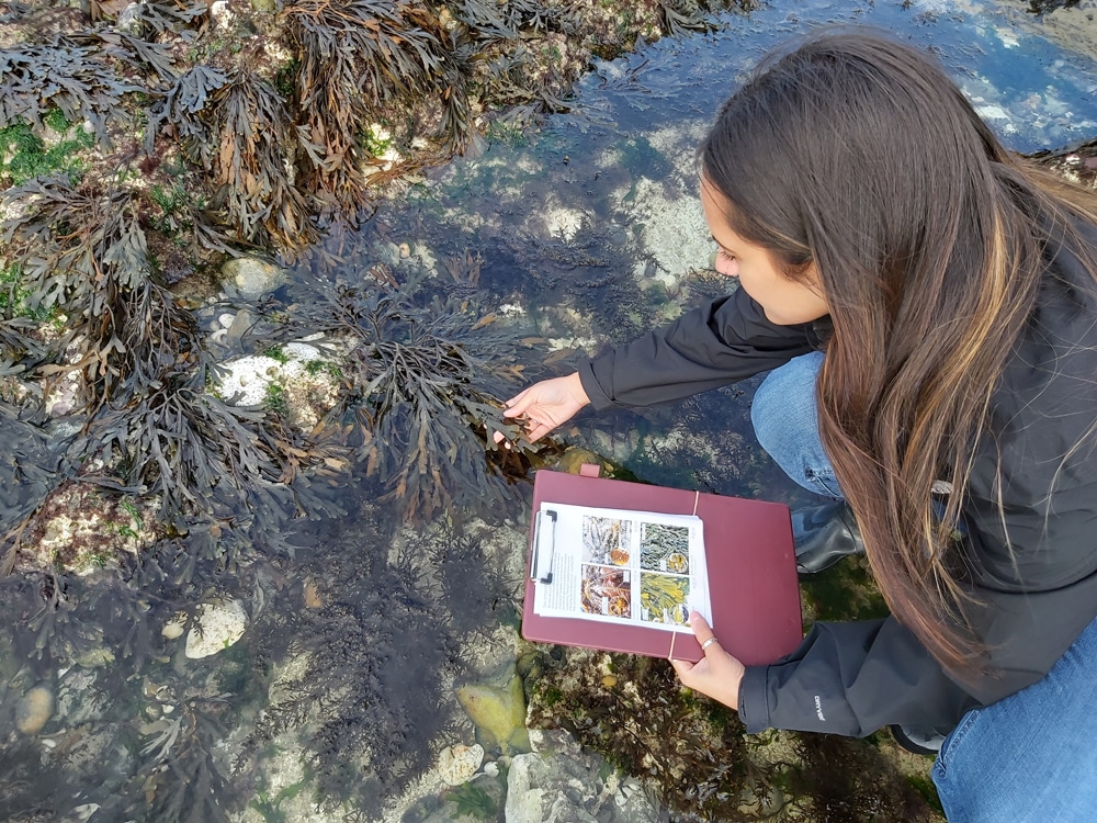 Marine Conservation Society & Natural History Museum launch first Big ...