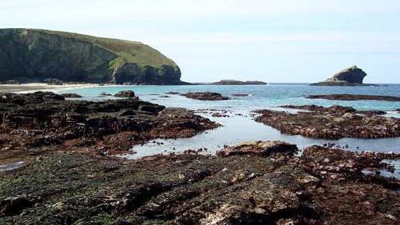 Discover the wonderful world of rock pooling | Scubaverse