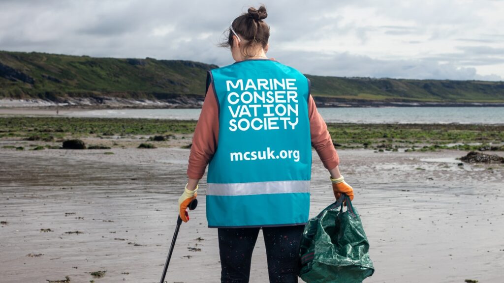 Marine Conservation Society's Great British Beach Clean returns next ...