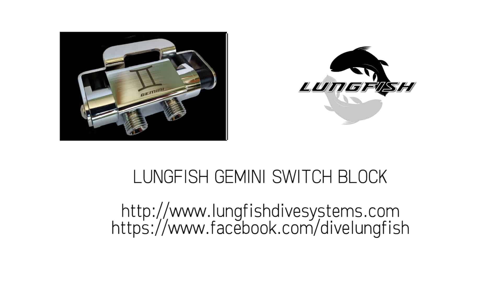 Lungfish Gemini Switch Block 1 - Scubaverse