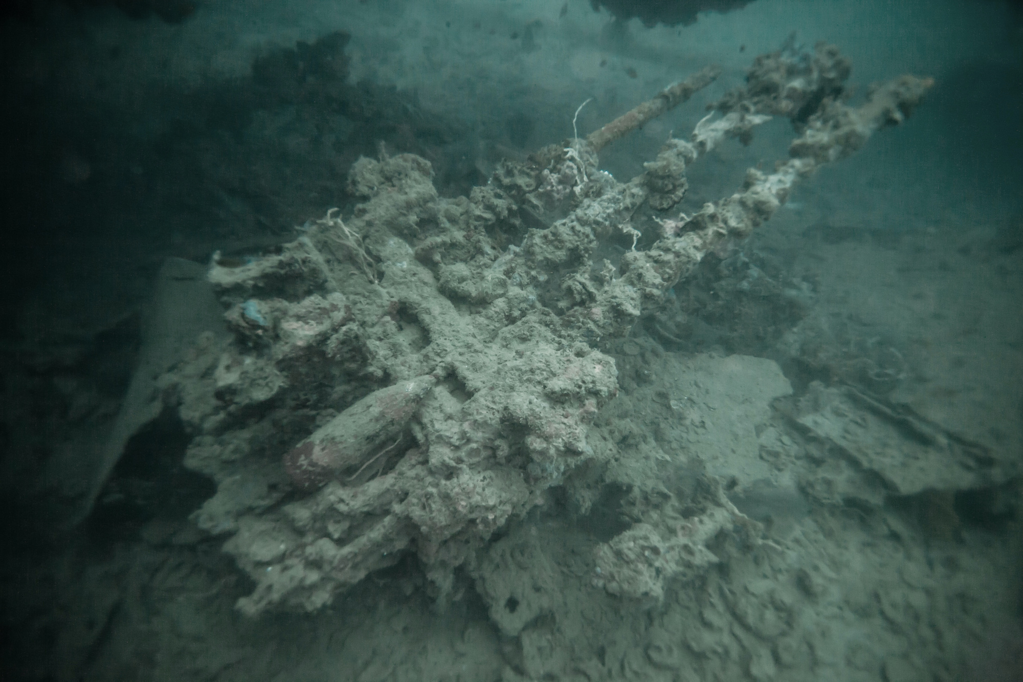 Machine Gun On World War Ii Shipwreck In Coron Area Scubaverse Machine Gun On World War Ii Shipwreck In Coron Area Scubaverse