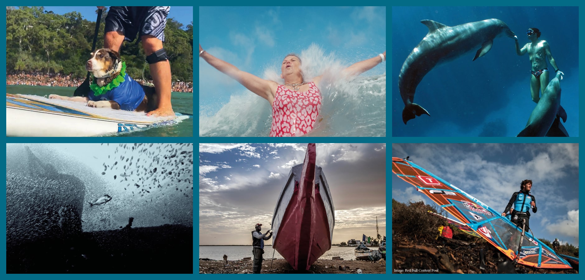 Ocean Film Festival dives into the UK this autumn (Watch Trailer ...