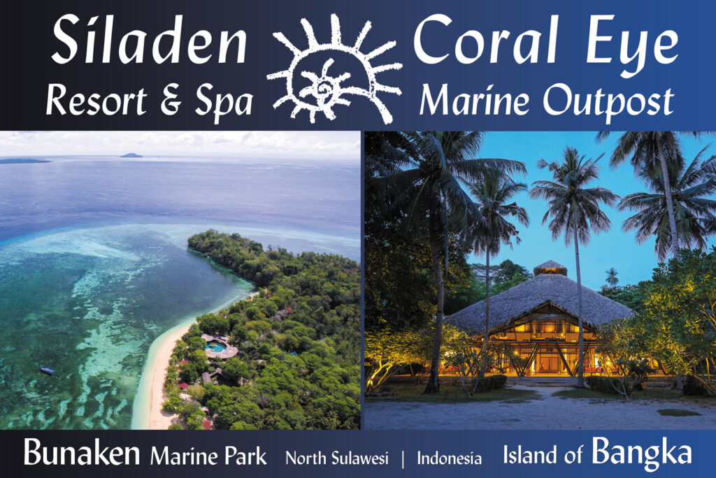 Siladen Resort & Coral Eye Resort: A Dual Paradise of Wonders | Scubaverse