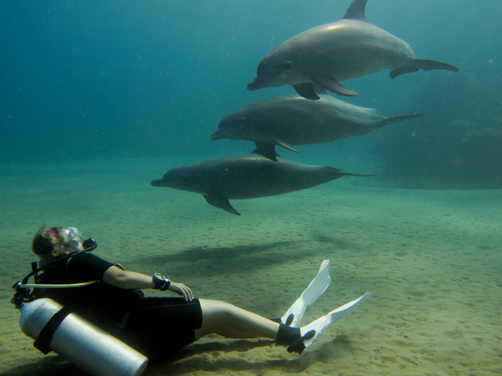Dive Centre of the Day: Euro Divers Lux* Maldives