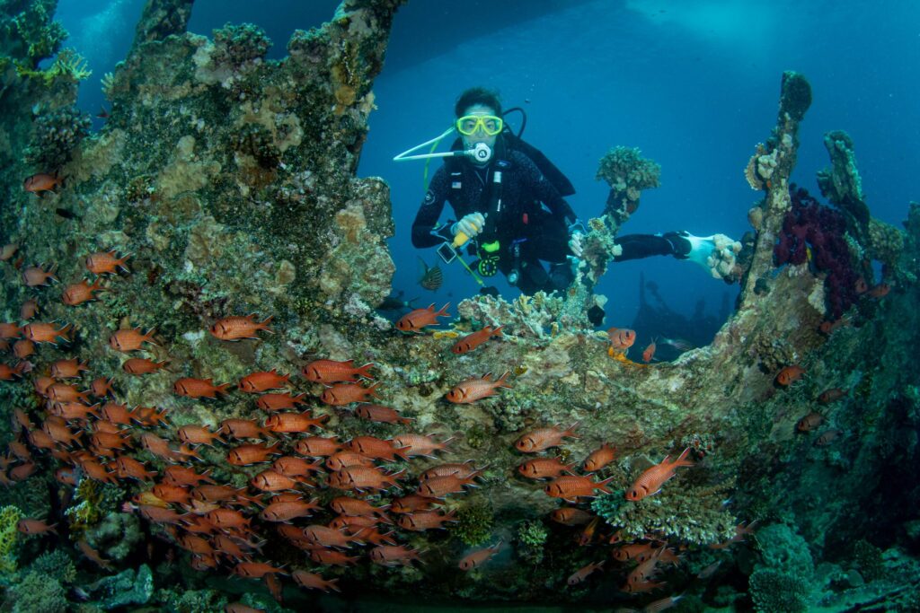 RAID releases new Advanced Wreck Diver course