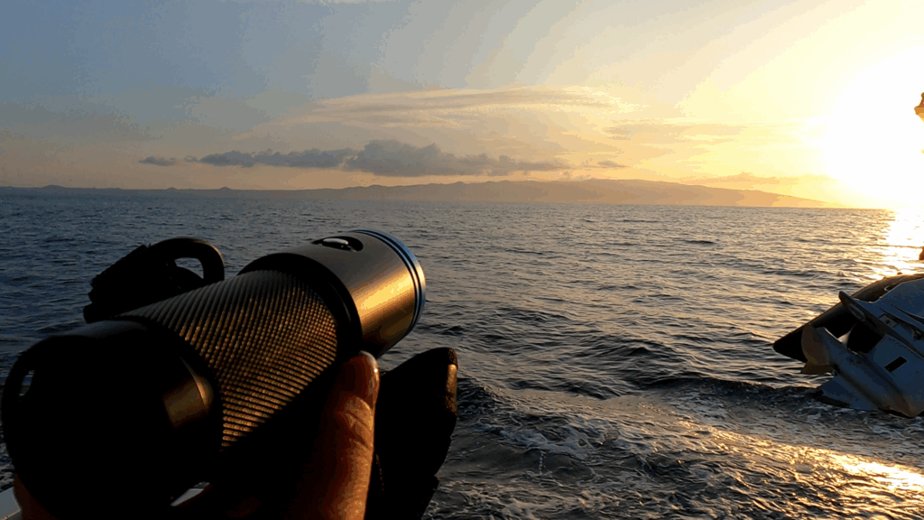 Gear Review: Bigblue VTL2900PB Dive Torch: A Compact Powerhouse for ...
