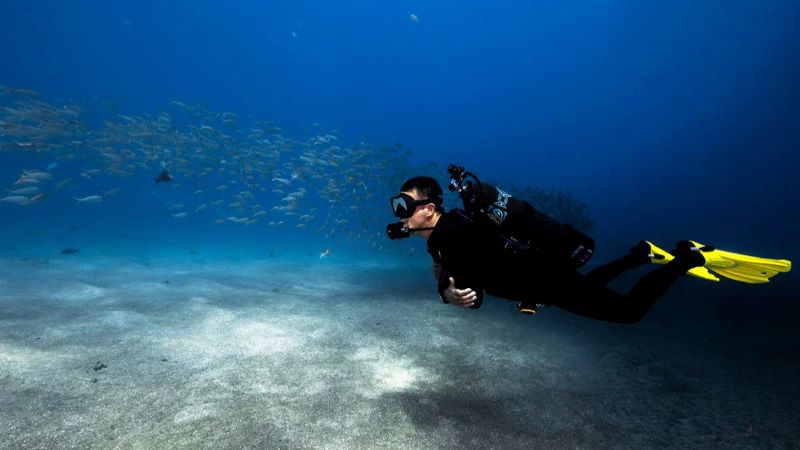 Shearwater Reveals Shearwater Jetpack for Avelo Diving | Scubaverse