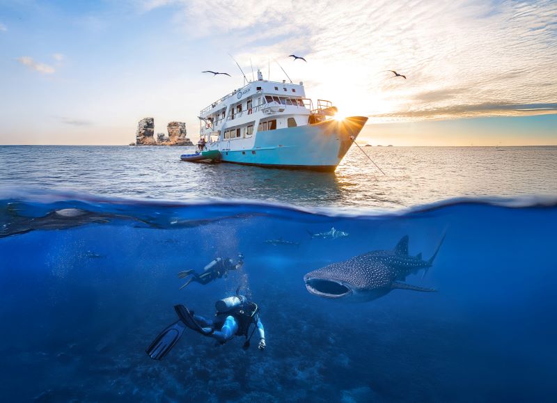 Dive Deep, Explore Wide – The Ultimate Galapagos Liveaboard and Land ...