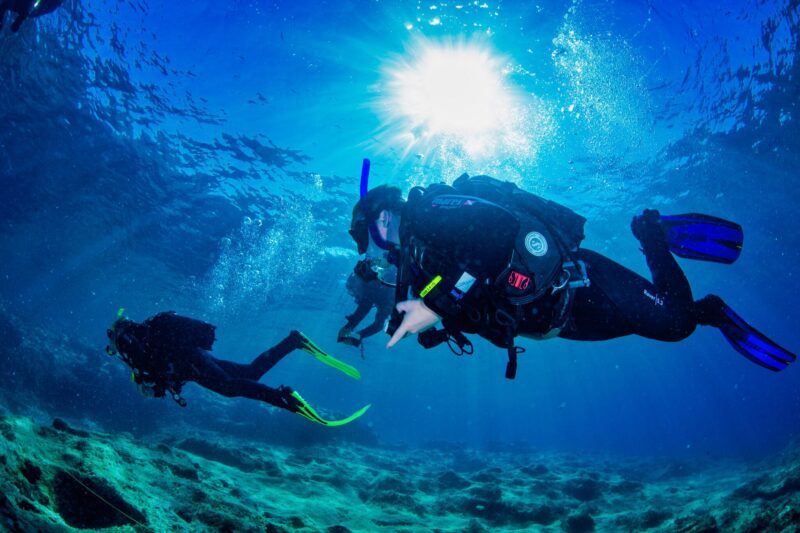 Discover the Best of Malta and Gozo this October with Oyster Diving ...